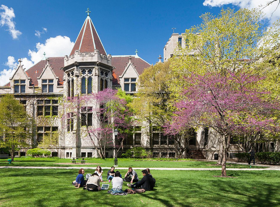 关于我们 – 槿林国际教育